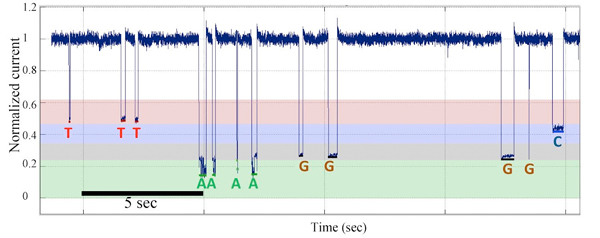 Columbia-led Team Advances Single Molecule Electronic DNA Sequencing ...