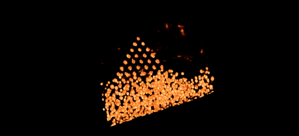 Building Tough 3D Nanomaterials with DNA | Chemical Engineering